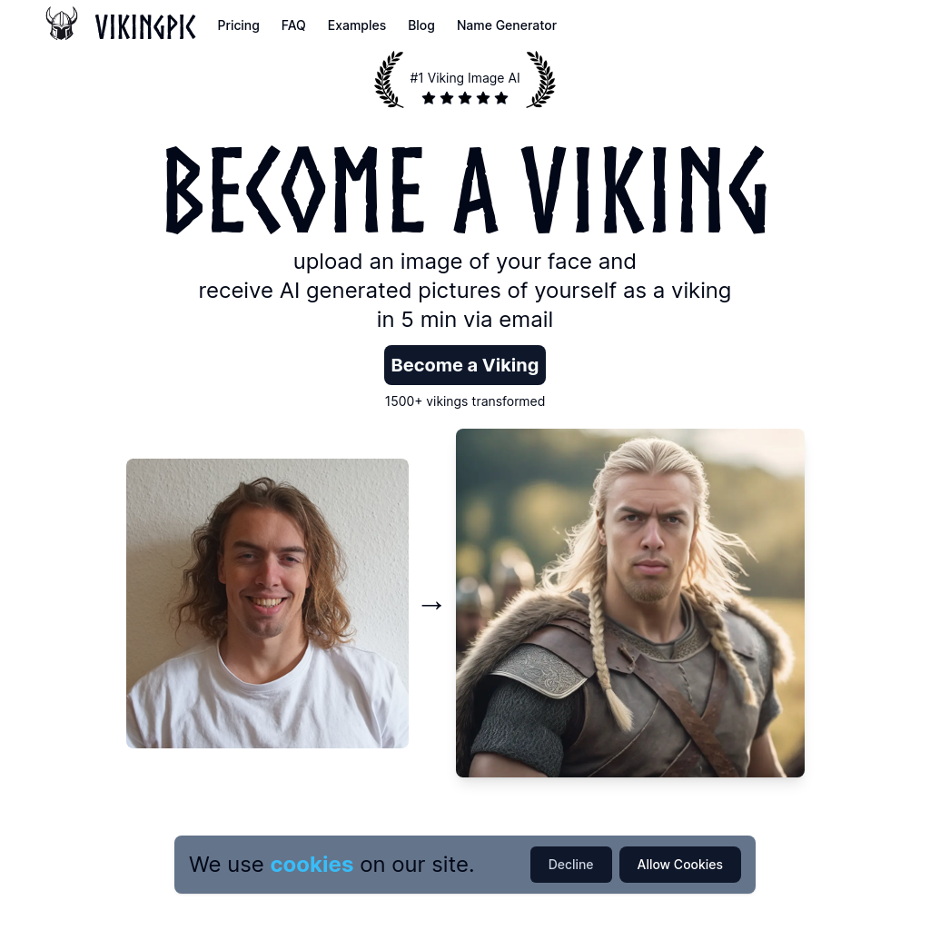VikingPic - Become a Viking Features | AIStage