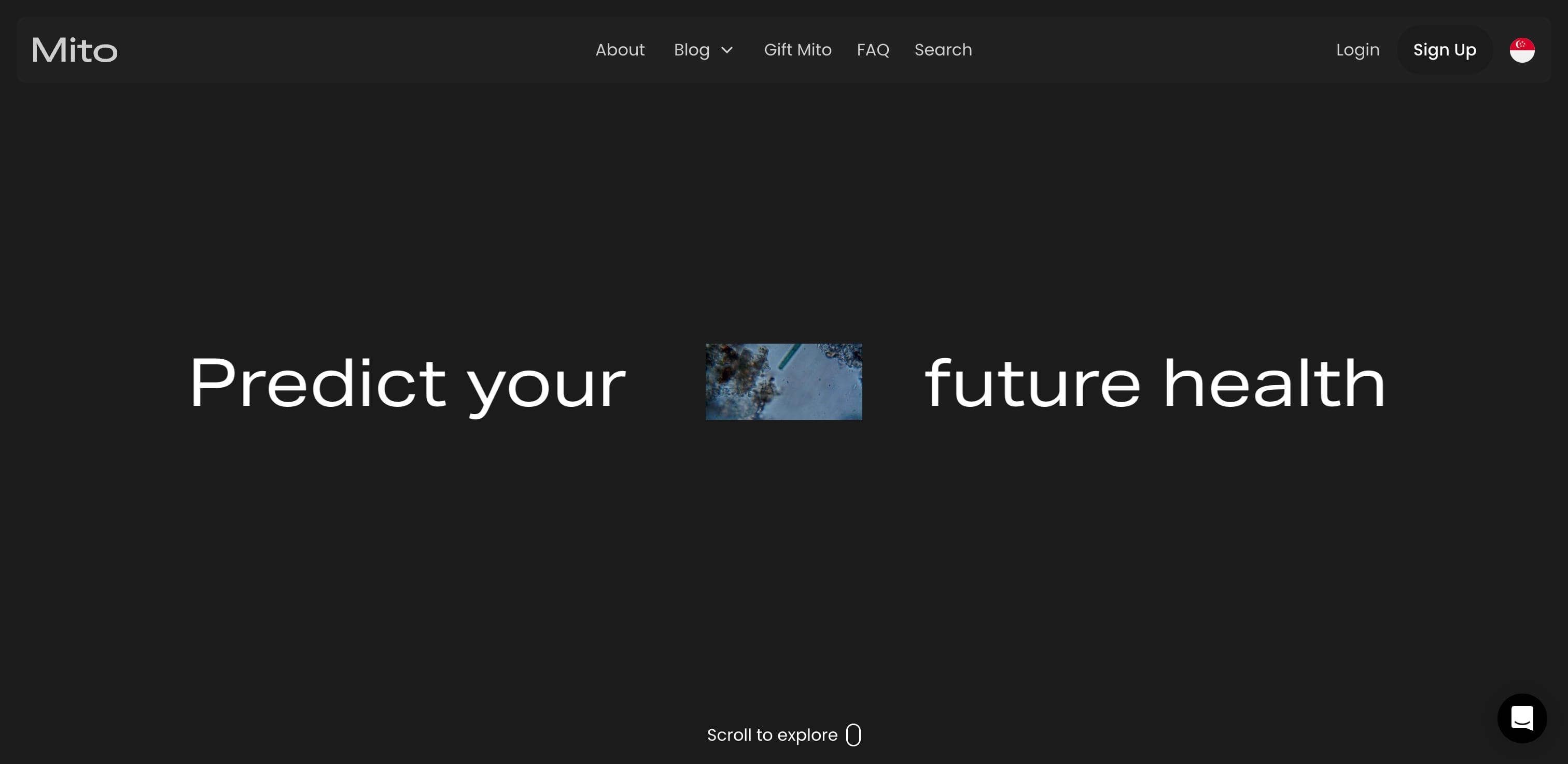 Mito Health - Personalized Health Insights from Bloodwork | AIStage